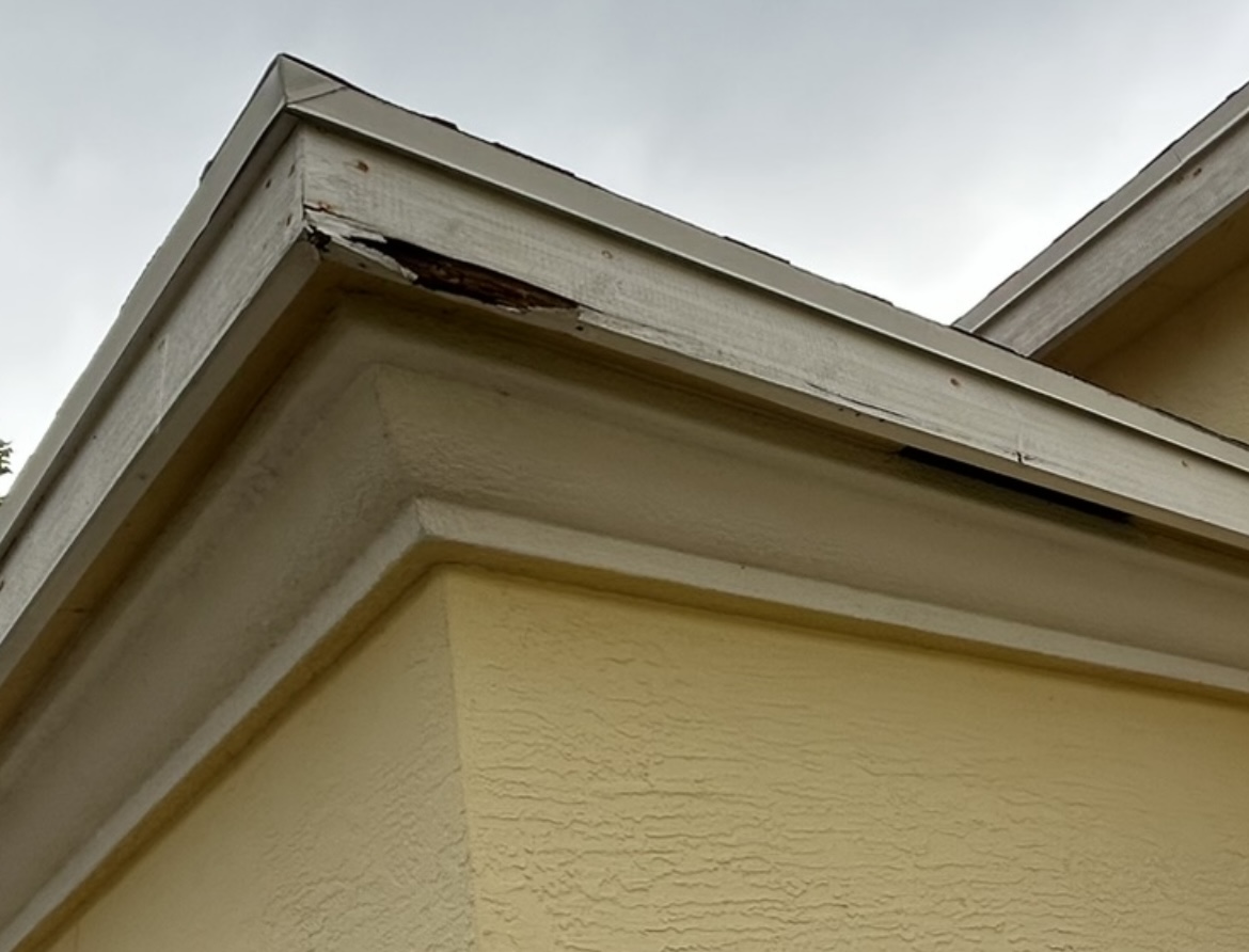 Understanding and Addressing Rotten Fascia - A Coast Roof LLC